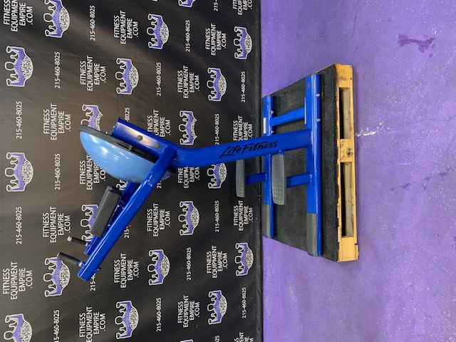 Buy Life Fitness Signature Series Bosu Leg Raise Online | Fitness ...