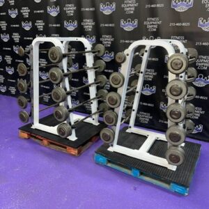 Buy Ivanko 20-110 lb. EZ Curl & Straight Bar Package w/Precor Icarian ...