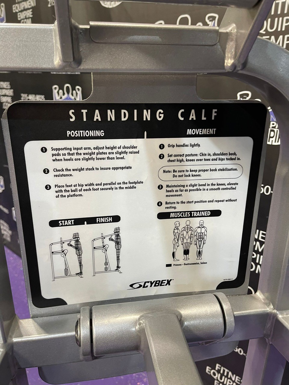 Buy Cybex VR Platinum Standing Calf w/300 lb. Stack Online | Fitness ...