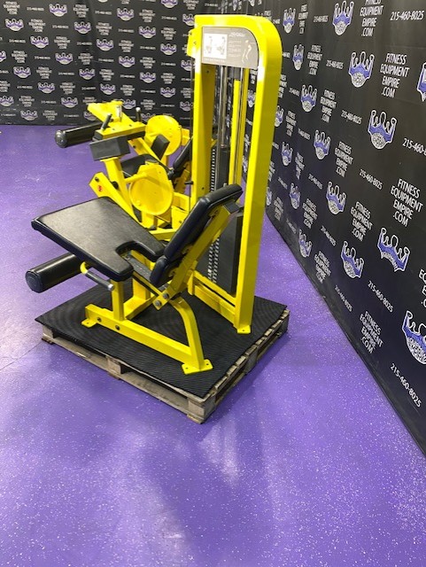 Buy Life Fitness Pro 2 Leg Extension & Leg Curl Matching Pair w/300 lb ...