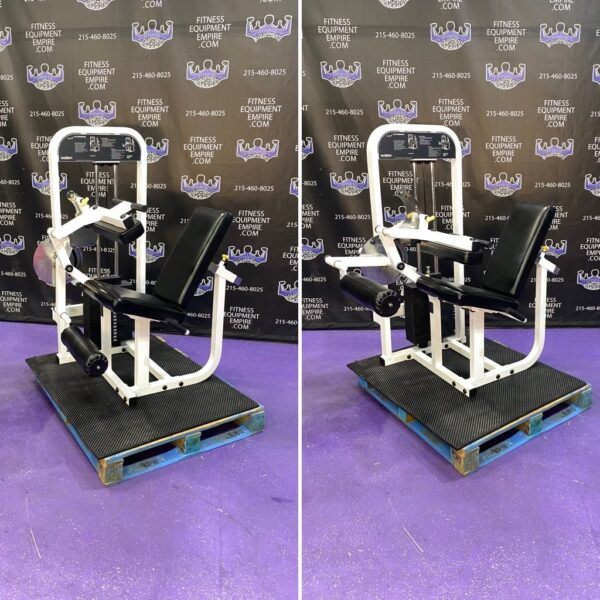 Buy Paramount FL-30 Leg Extension & Leg Curl Combo Machine Online ...