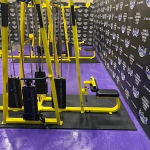 Buy Precor Icarian 8 Stack Jungle Gym Cable Crossover Online | Fitness ...