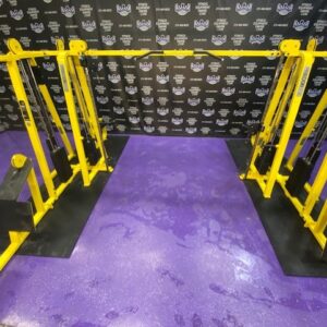 Buy Precor Icarian 8 Stack Jungle Gym Cable Crossover Online | Fitness ...