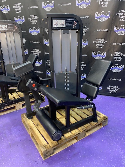 Buy Life Fitness Pro 2 Leg Extension & Leg Curl Matching Pair w/300 lb ...