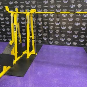 Buy Precor Icarian 8 Stack Jungle Gym Cable Crossover Online | Fitness ...