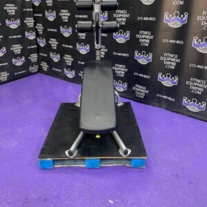 Buy Cybex Eagle NX Adjustable Incline Decline & Flat Bench Abs Pressing ...