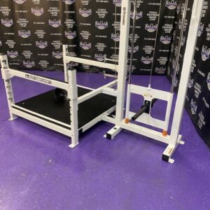 Buy Westside Plate Loaded Belt Squat Dynamic Online | Fitness Equipment ...