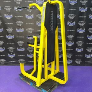 Buy Precor Icarian 320 Assisted Dip & Pull-up Machine Online | Fitness ...