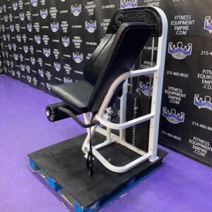 Buy Nautilus Next Generation Chain Driven Leg Extension - Old School ...
