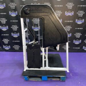 Buy Nautilus Next Generation Chain Driven Leg Extension - Old School ...