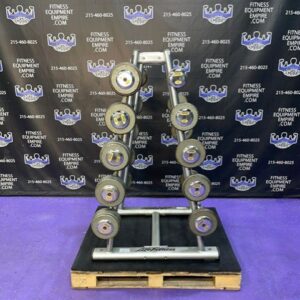 Buy 20-110 lb. Troy EZ Curl Bar Set w/Life Fitness Signature Rack ...