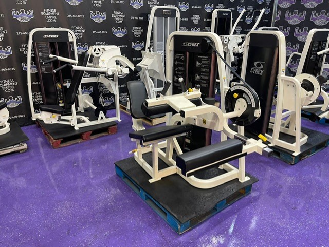 Buy Cybex Eagle 11 Unit Total Body Strength Circuit Online | Fitness ...