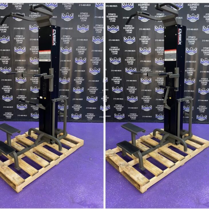 Buy Cybex Standing Assisted Dip & Pull-up Machine Online | Fitness ...