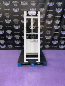 Buy Cybex Classic Standing Calf w Double Block & 300 Lb Stack Online ...