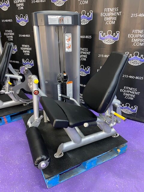 Buy Paramount Leg Extension & Leg Curl Matching Pair Online | Fitness ...