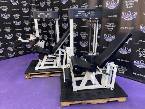 Buy Paramount Leg Extension & Seated Leg Curl Matching Pair Online ...