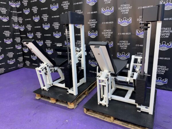 Buy Paramount Leg Extension & Seated Leg Curl Matching Pair Online ...