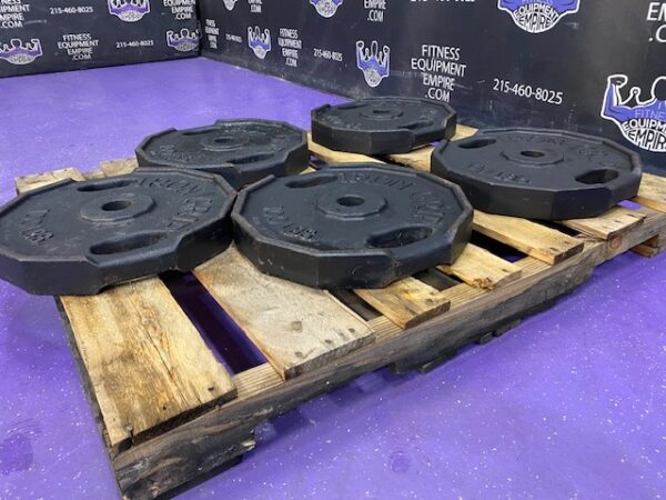 Buy 100 Lb Iron Grip Olympic Plates x 5 - Rare Online | Fitness ...
