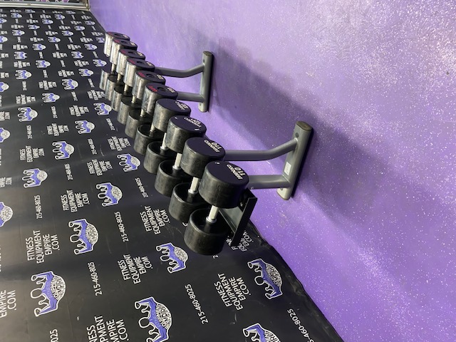 Buy GPI URETHANE PRO DUMBBELLS 110-150 lbs w / Life Fitness Rack Online ...