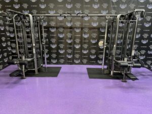 Buy Life Fitness Signature Series MJ8 Jungle Gym w/Dual Pulley Lat ...