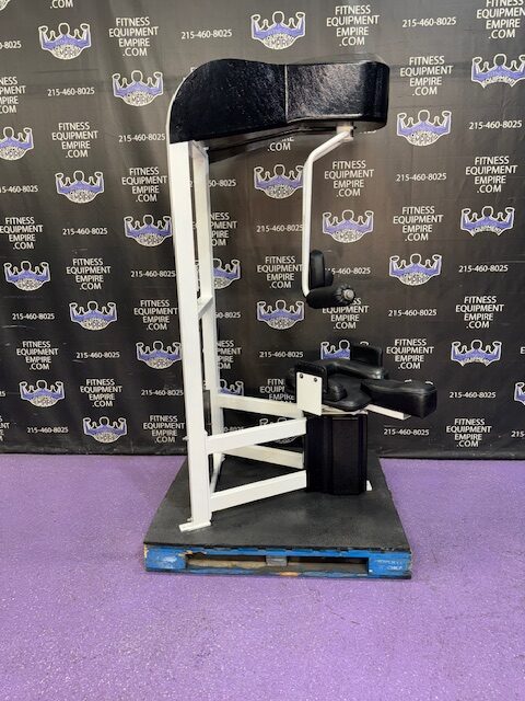 Buy Nautilus Gen II Chain Driven Rotary Torso - Rare Online | Fitness ...