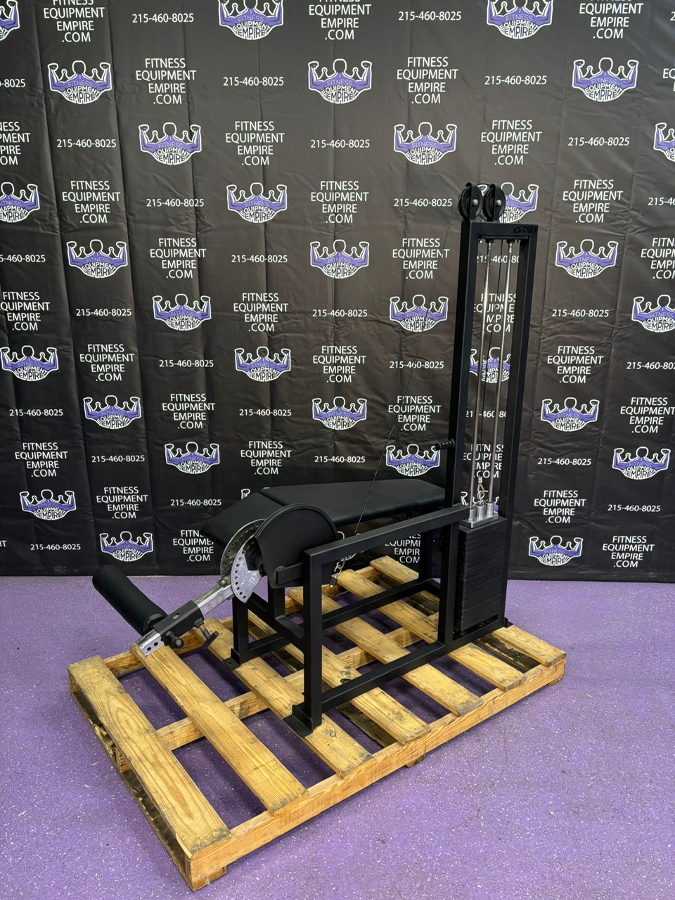 Buy Cybex OG Classic Eagle Prone Lying Leg Curl - Refurbished Online ...