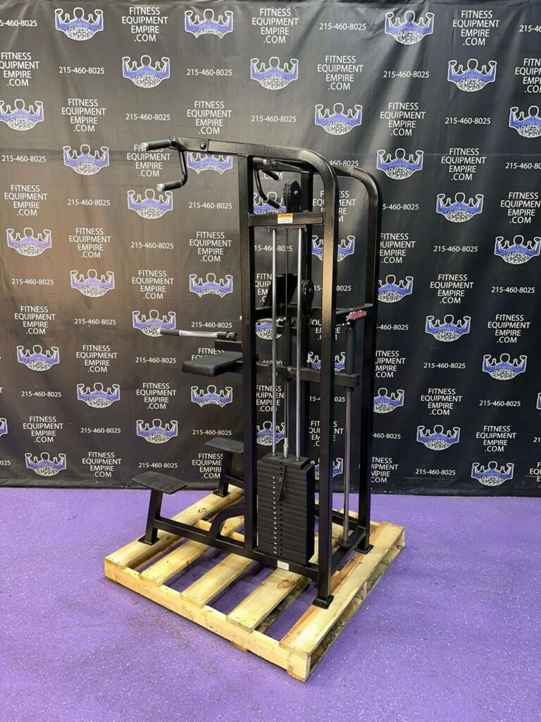 Buy Life Fitness Pro Assisted Dip & Pull-up Combo Online | Fitness ...