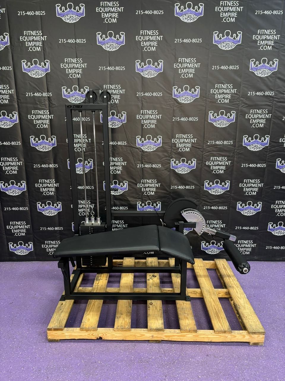 Buy Cybex OG Classic Eagle Prone Lying Leg Curl - Refurbished Online ...